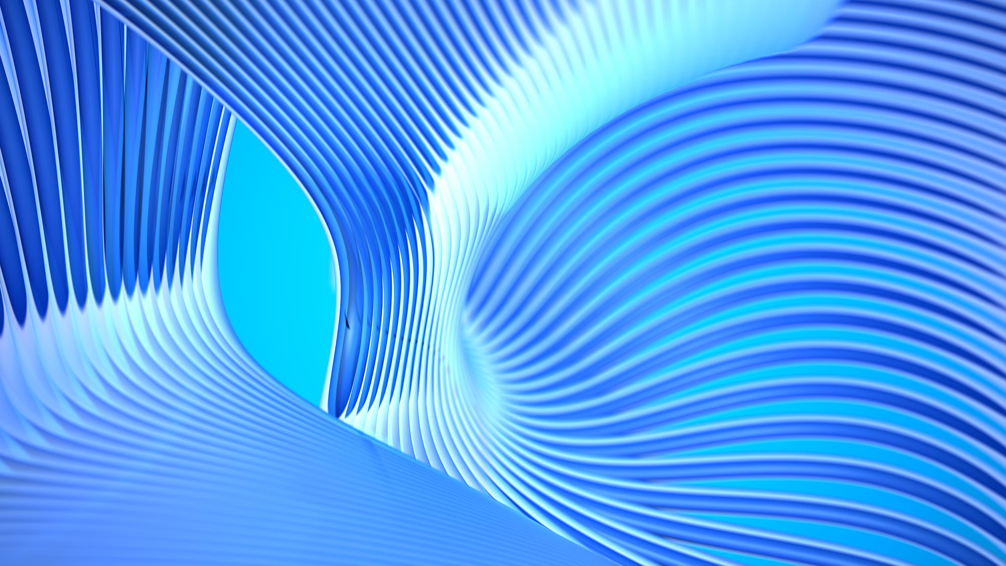 Audits logiciels IBM : comprendre les principes de base | USU Software